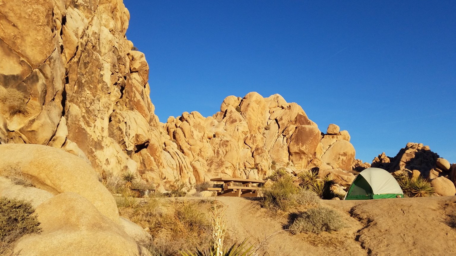 Joshua Tree Adventure Guide: Camp Site – Claire Aucella