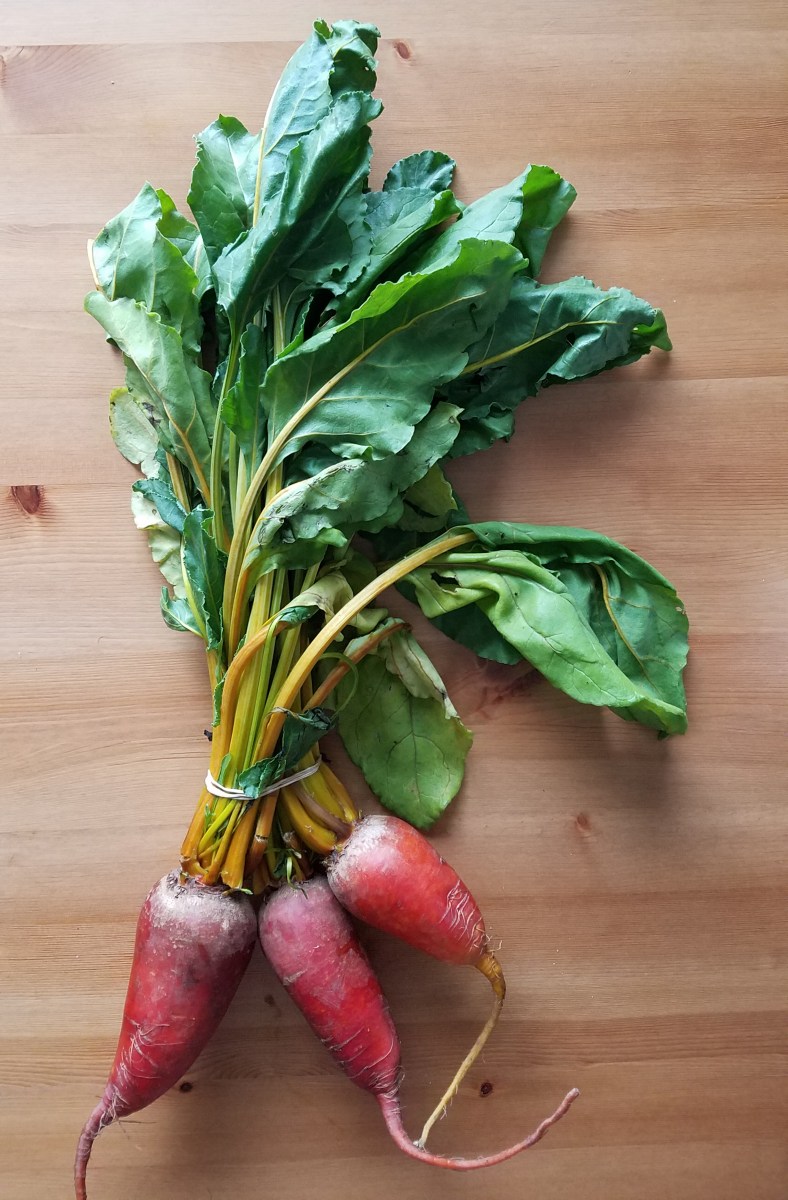 Trying the Badger Flame Beet – Claire Aucella