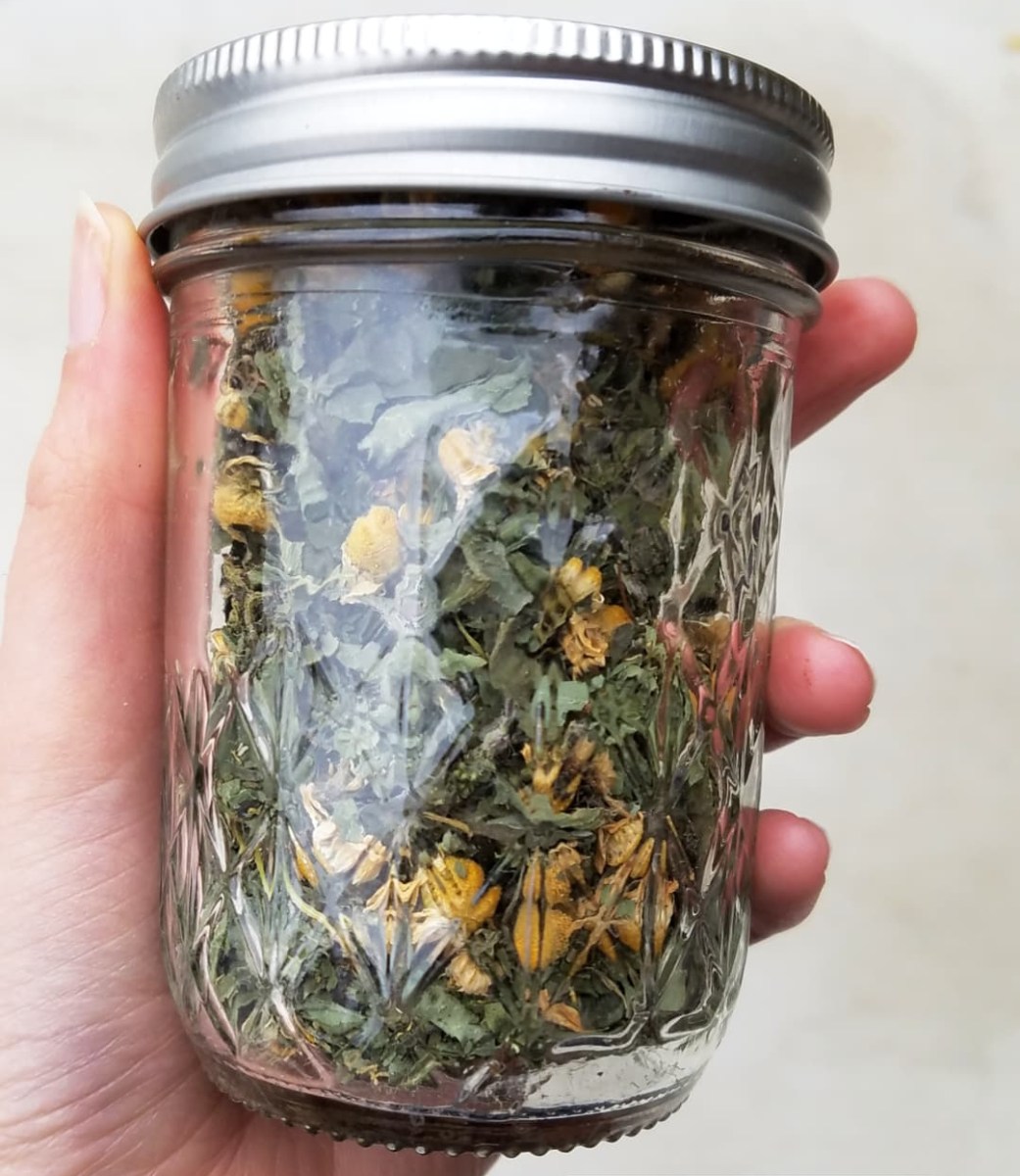 Recipe: Tulsi (Holy Basil) and Chamomile Tea – Claire Aucella